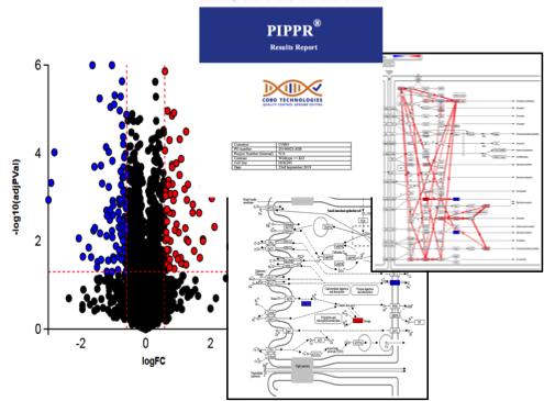 PIPPR Pathway Analysis - SWATH-MS Proteomics CRISPR Applications